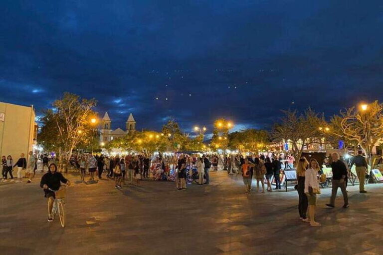 Cabo San Lucas: San Jose Wonders Tour - Transport, Group Size, and Practicalities