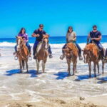 Cabo San Lucas: Scenic Horseback Ride Along the Corridor - What Travelers Say