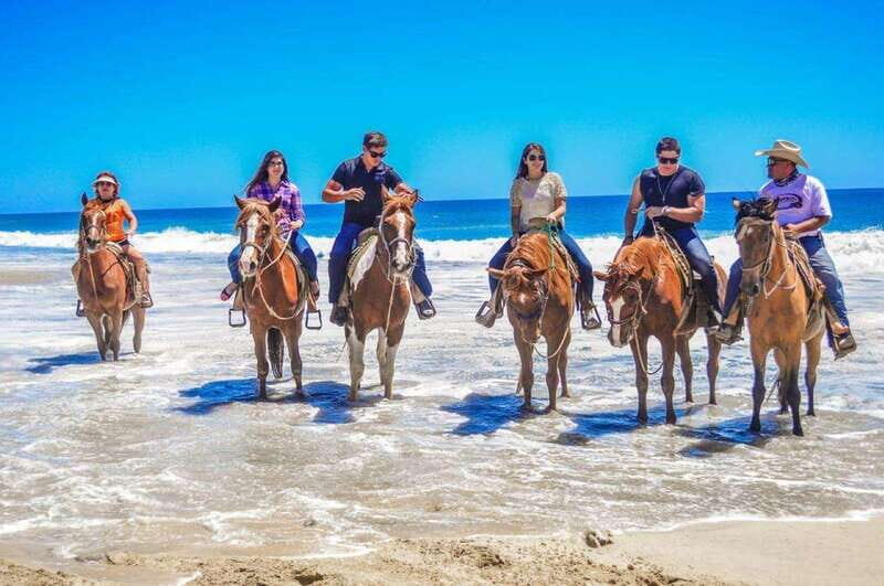 Cabo San Lucas: Scenic Horseback Ride Along the Corridor - What Travelers Say