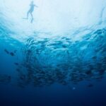Cabo San Lucas Shopping, Tequila Tasting, and Snorkel Tour - Authentic Experiences and Real Traveler Insights