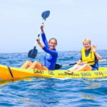 Cabo San Lucas: Snorkel, Paddle-board, and/or Kayak Tour - Key Points