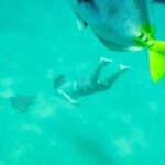 Cabo San Lucas: Snorkeling at Lovers Beach - The Itinerary: What to Expect