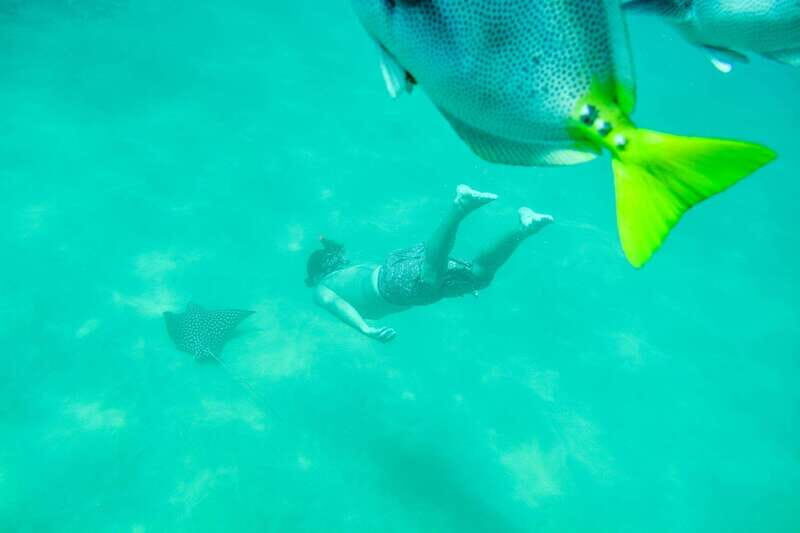 Cabo San Lucas: Snorkeling at Lovers Beach - The Itinerary: What to Expect