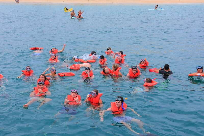 Cabo San Lucas: Snorkeling, Tacos and Chileno Bay Boat Tour - Authentic Experiences and Concerns