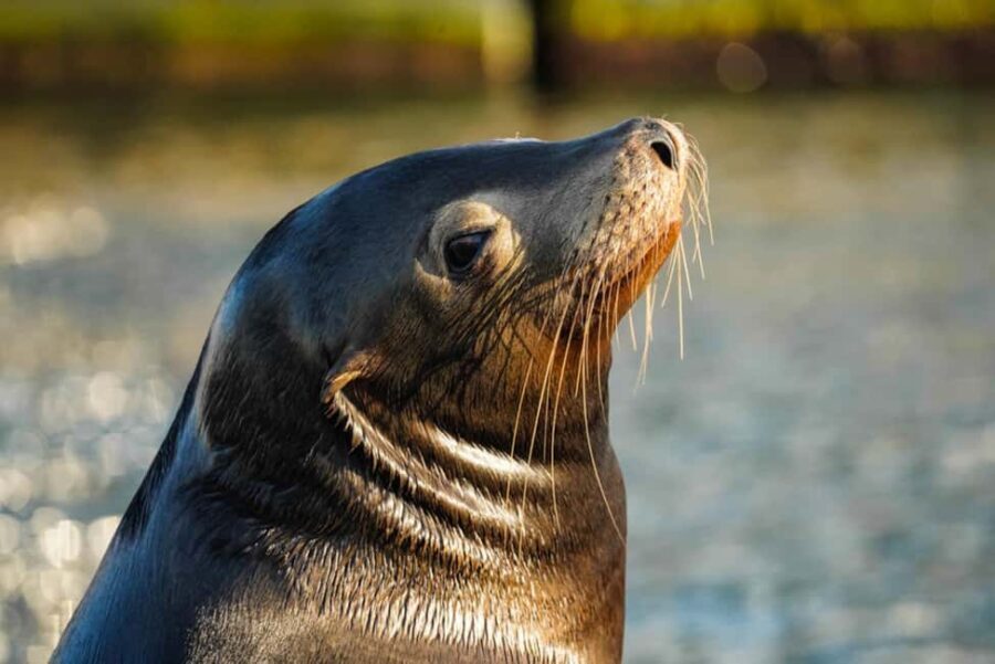 Cabo San Lucas: Sunset Cruise - Detailed Itinerary Breakdown