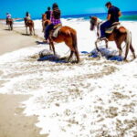 Cabo San Lucas: Thrilling ATV and Horseback Riding Combo - Who Is This Tour Best For?