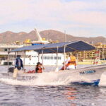 Cabo San Lucas: Tour al Arco en Barco Fondo de Cristal - Practical Details & Tips