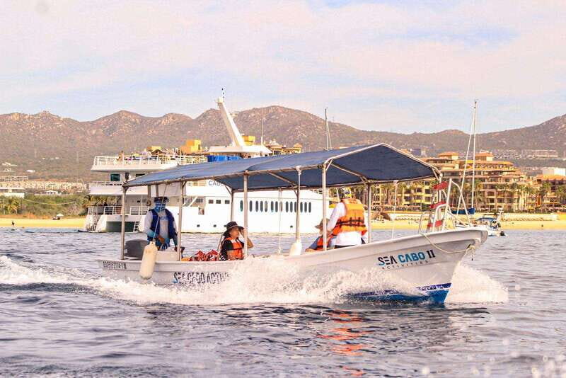 Cabo San Lucas: Tour al Arco en Barco Fondo de Cristal - Practical Details & Tips