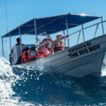 Cabo San Lucas: Tour paseo al Arco + bajada en playa - Practical Details and Tips