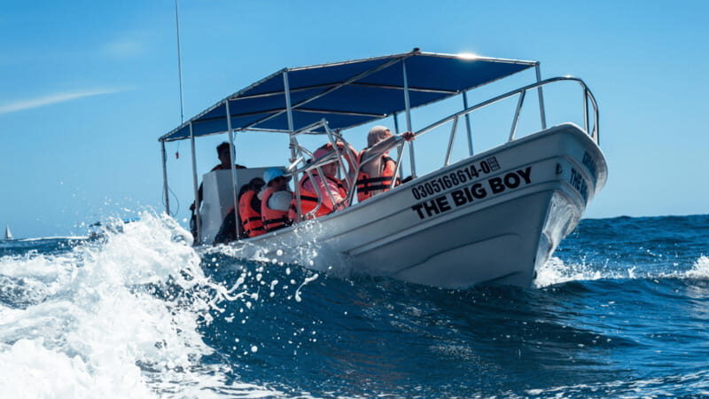 Cabo San Lucas: Tour paseo al Arco + bajada en playa - Practical Details and Tips