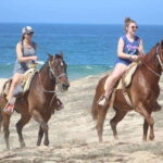 Cabo San Lucas: White Sand Horseback Adventure - Who Is This Tour Best For?