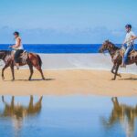 Cabo Shore Excursion: Beach Horseback Ride & Tequila Tasting - Why This Tour Is a Great Choice