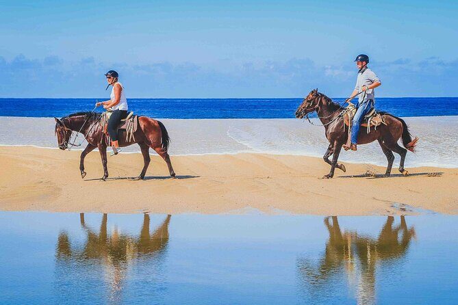 Cabo Shore Excursion: Beach Horseback Ride & Tequila Tasting - Why This Tour Is a Great Choice
