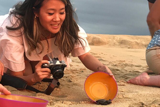Cabo Turtle Release - Authenticity, Education, and Conservation in Action
