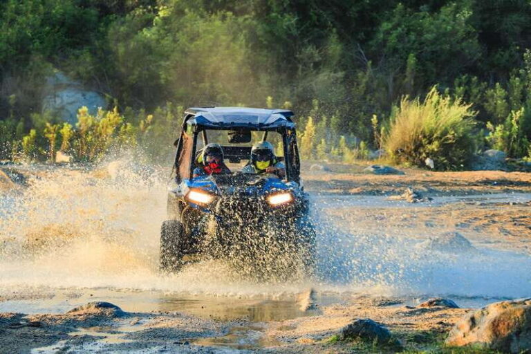 Cabo : UTV and Camel Ride in the Desert - Who Should Consider This Tour?