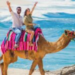 Cabo UTV Tour Free Camel Sky Bike - Why This Tour Works for Different Travelers