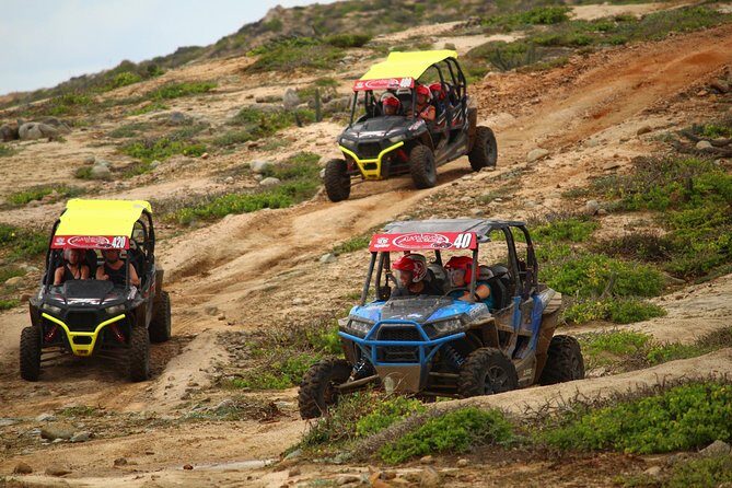 Cabo Wild Desert Tour, Polaris ATV or Razor Single, Double, Triple or Quad! - Analyzing the Value: Is It Worth It?