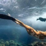 Cabo Wildlife SAFARI - The Marine Biologist Guide