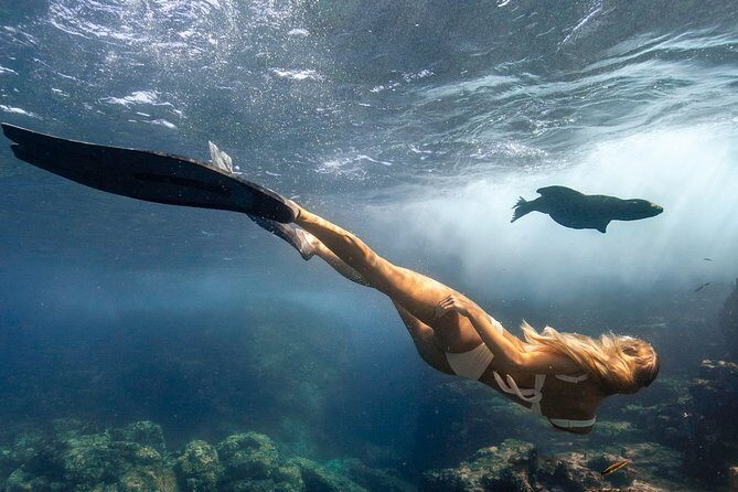 Cabo Wildlife SAFARI - The Marine Biologist Guide