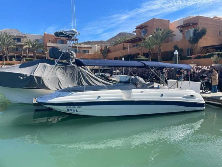 Cabo Yacht Tour to Lovers or Pelícano Beach + Beach Time - Why This Tour Offers Good Value