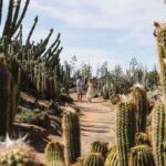 Cactus Country: Entry Ticket - Food & Refreshments: Mexican Flavors