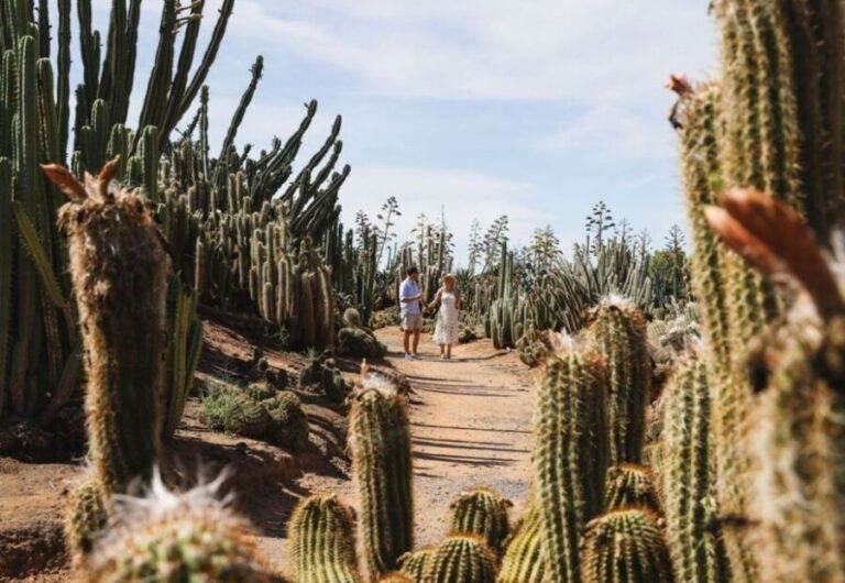 Cactus Country: Entry Ticket - Food & Refreshments: Mexican Flavors