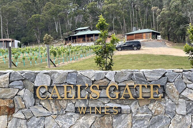 Cael's Gate Wine and Ploughmans Lunch in Hunter Valley - The Sum Up