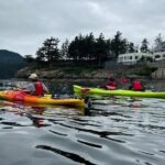 Cafes and Kayaks: Full Day Kayaking Adventure on Orcas Island - Why This Tour Is a Great Choice