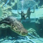 "Cage Of Death" Crocodile Swim and Entry to Crocosaurus Cove - Who Will Love This Tour?