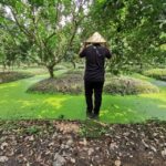 Cai Be: Private Day Tour - Detailed Breakdown of the Itinerary