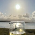 Cairns Airport to Port Douglas Shared Shuttle - What to Expect on Your Transfer
