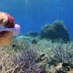 Cairns: All-Inclusive Great Barrier Reef Half-Day Snorkeling - The Vessel and Comfort