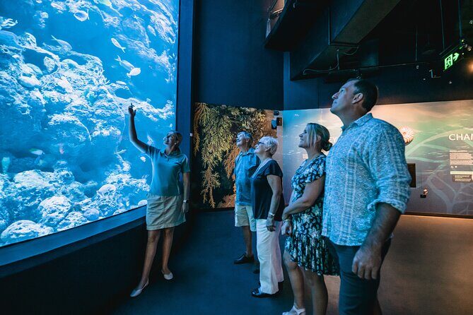 Cairns Aquarium by Twilight Tour - The Value of Small Group and Expert Guidance