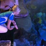 Cairns Aquarium Marine Life Encounter Ticket - Frequently Asked Questions