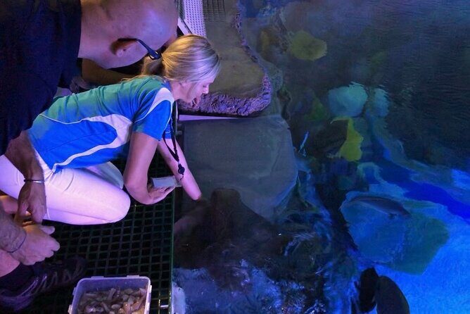 Cairns Aquarium Marine Life Encounter Ticket - Frequently Asked Questions