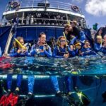 Cairns: Best Value All-inclusive Reef Trip With Scuba Dive - Value and What It Means for Travelers