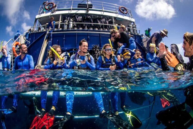 Cairns: Best Value All-inclusive Reef Trip With Scuba Dive - Value and What It Means for Travelers