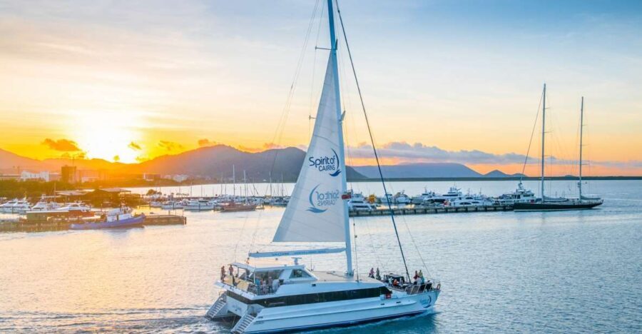 Cairns: City Sights Tour with Evening Dinner Cruise - What Makes This Tour Stand Out?