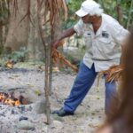 Cairns: Daintree Rainforest and Mossman Gorge Tour - Wildlife River Cruise: Crocodile Encounters and Nature