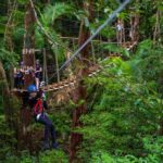 Cairns: Daintree Rainforest Canopy Ziplining Tour - An In-Depth Look at What’s Included