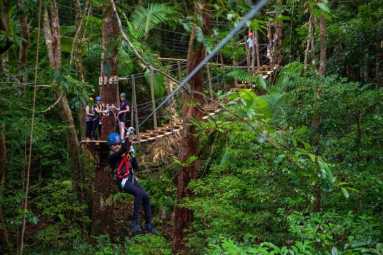 Cairns: Daintree Rainforest Canopy Ziplining Tour - An In-Depth Look at What’s Included