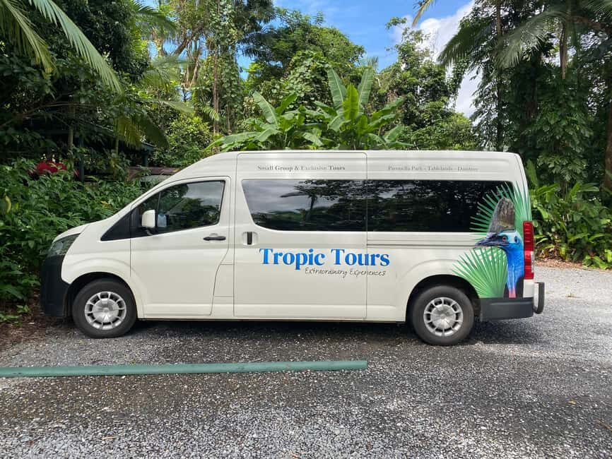 Cairns: Daintree River Cruise and Mossman Gorge - Exploring the Daintree River