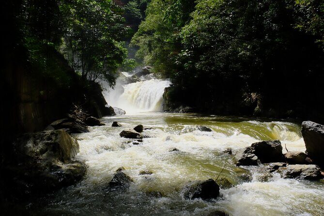 Cairns Day Tour Private Waterfall - Frequently Asked Questions