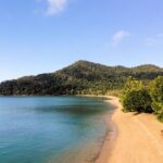 Cairns: Explore & Hike Dunk Island - Full Day Tour - The Bottom Line