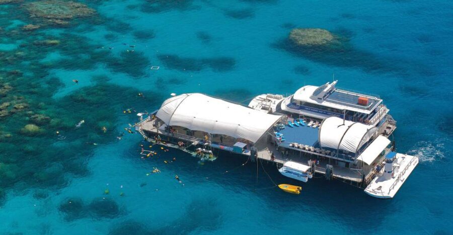 Cairns: Full Day Great Barrier Reef Pontoon Experience - The Itinerary and What Makes It Special