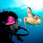 Cairns: Great Barrier Reef 5 Day Learn to Dive Course - The Itinerary: From Classroom to Coral Wonderland