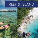 Cairns: Great Barrier Reef and Fitzroy Island Boat Tour - The Real Value for Travelers