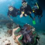 Cairns: Great Barrier Reef Cruise & 10 Minute Helicopter - FAQ