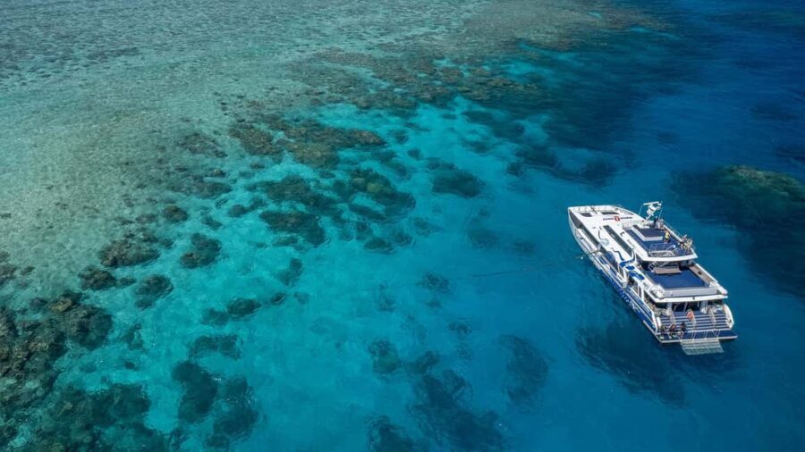 Cairns: Great Barrier Reef Full-Day Tour - What Makes This Tour Stand Out?