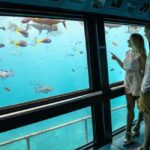 Cairns: Great Barrier Reef Pontoon - Indulgence Package - What’s Included and What’s Not